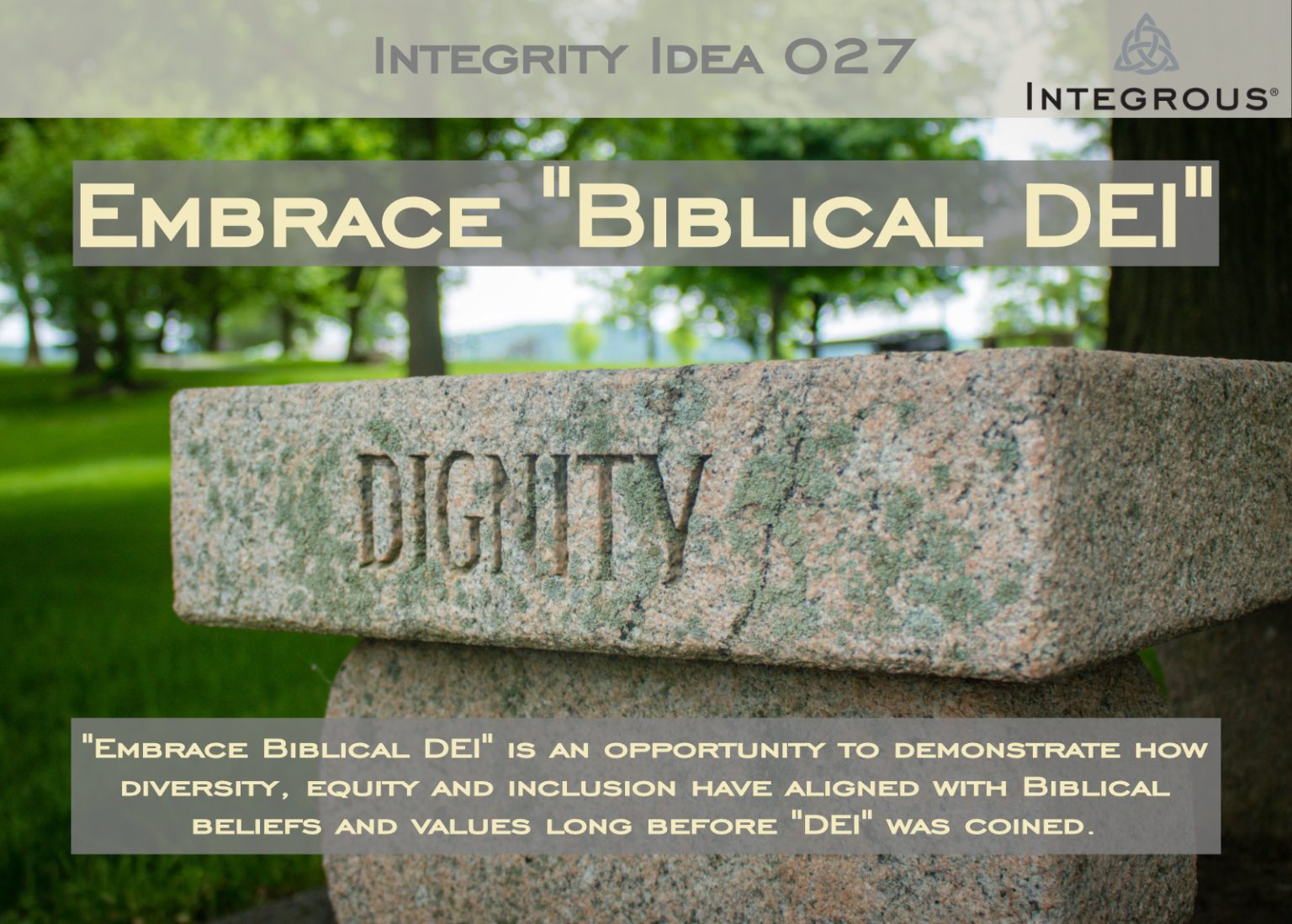 Integrous | #182 - Integrity Idea 027: Embrace "Biblical DEI"